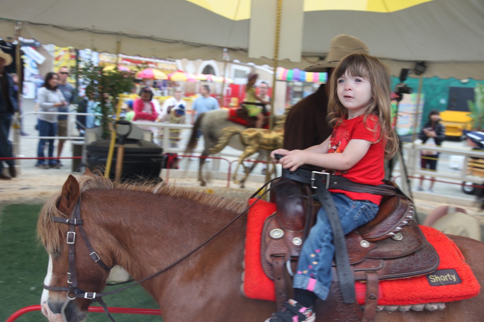 Savannah's journey: Del Mar Fair