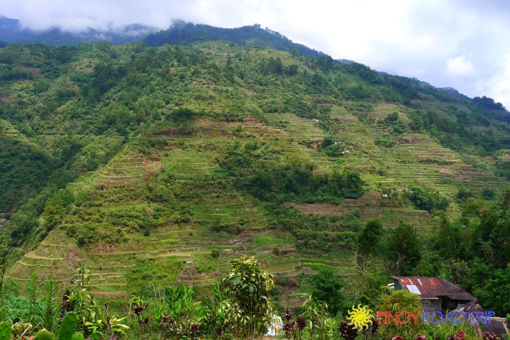 Pinoy Roadtrip: BANAUE: How to Find the Banaue Rice Terraces View Point