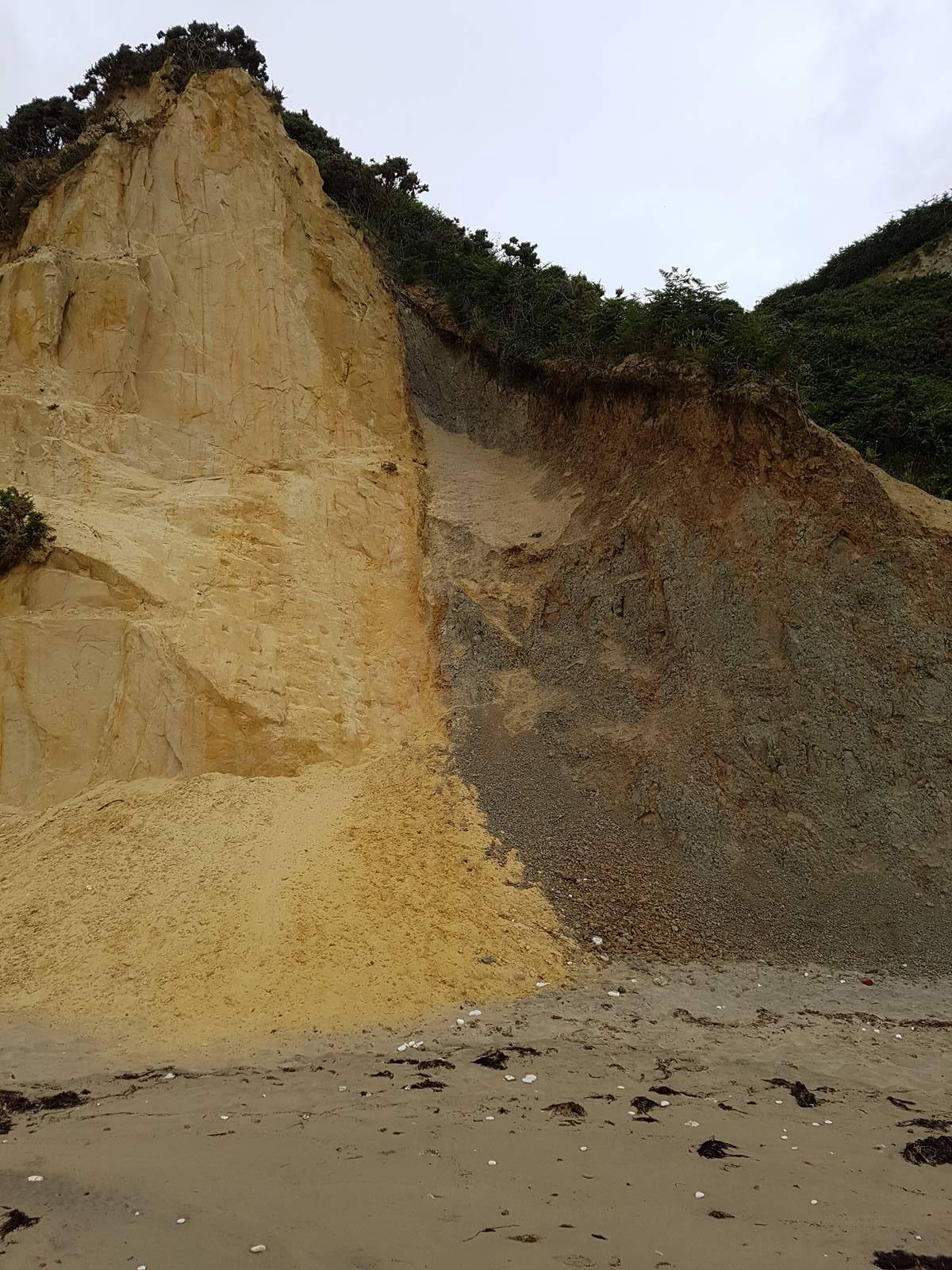 The Palaeo Post: The Thames Group of Whitecliff Bay