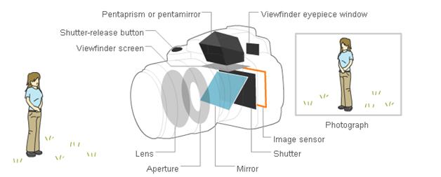 DSLR Photography Explored: DSLR Basics