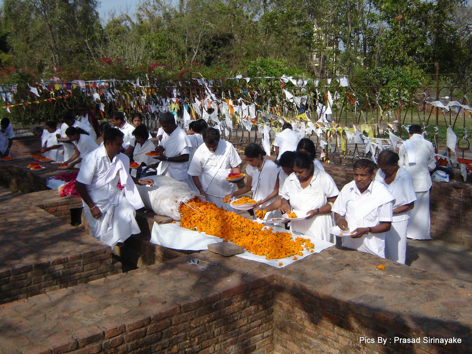 Pilgrimage to Dambadiva 2012: Sravasti