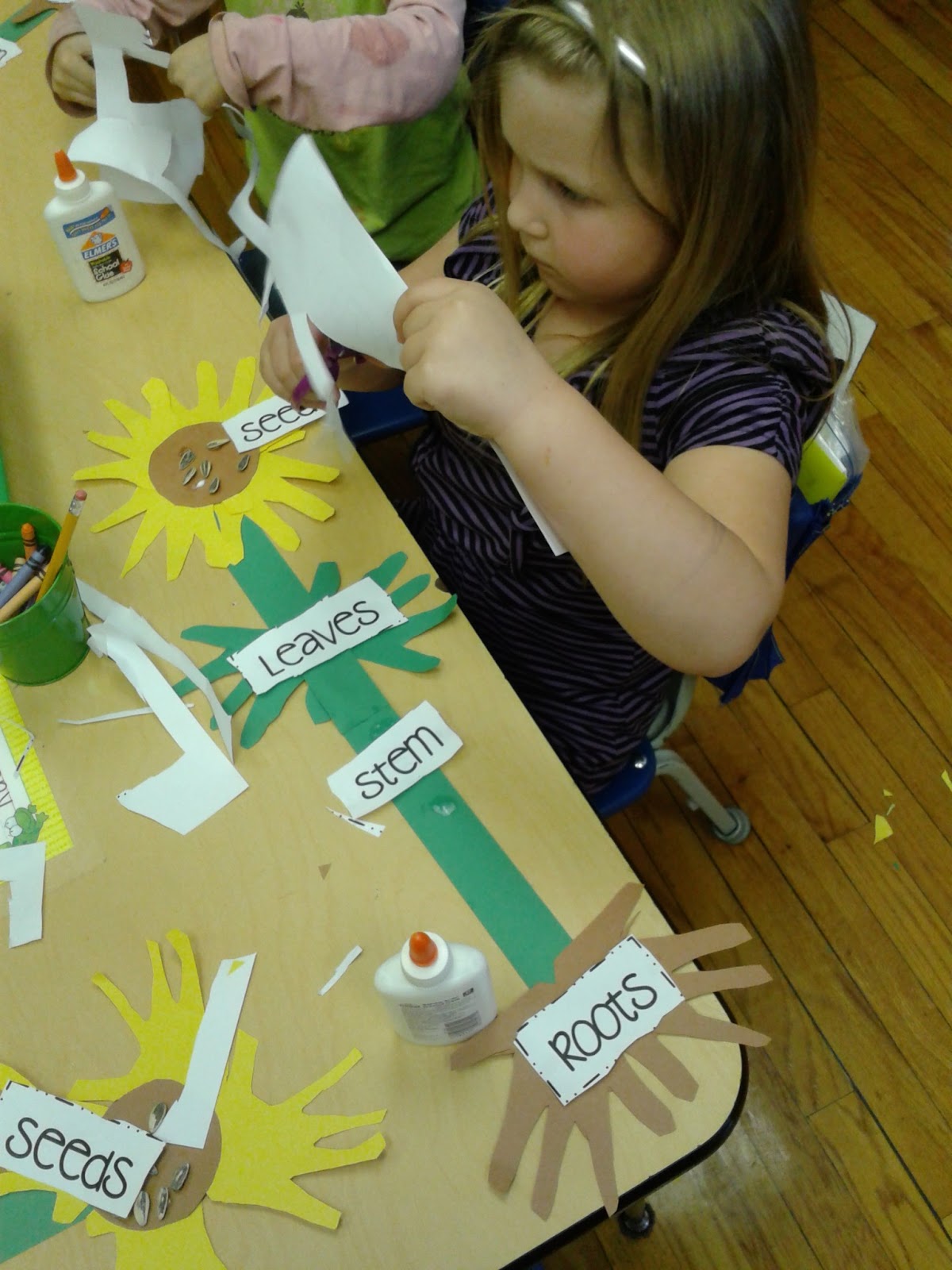 Pin By Adanna Nzeh On Plant Preschool Science Kindergarten Science Pin By Adanna Nzeh On Plant Preschool Science Kindergarten Science