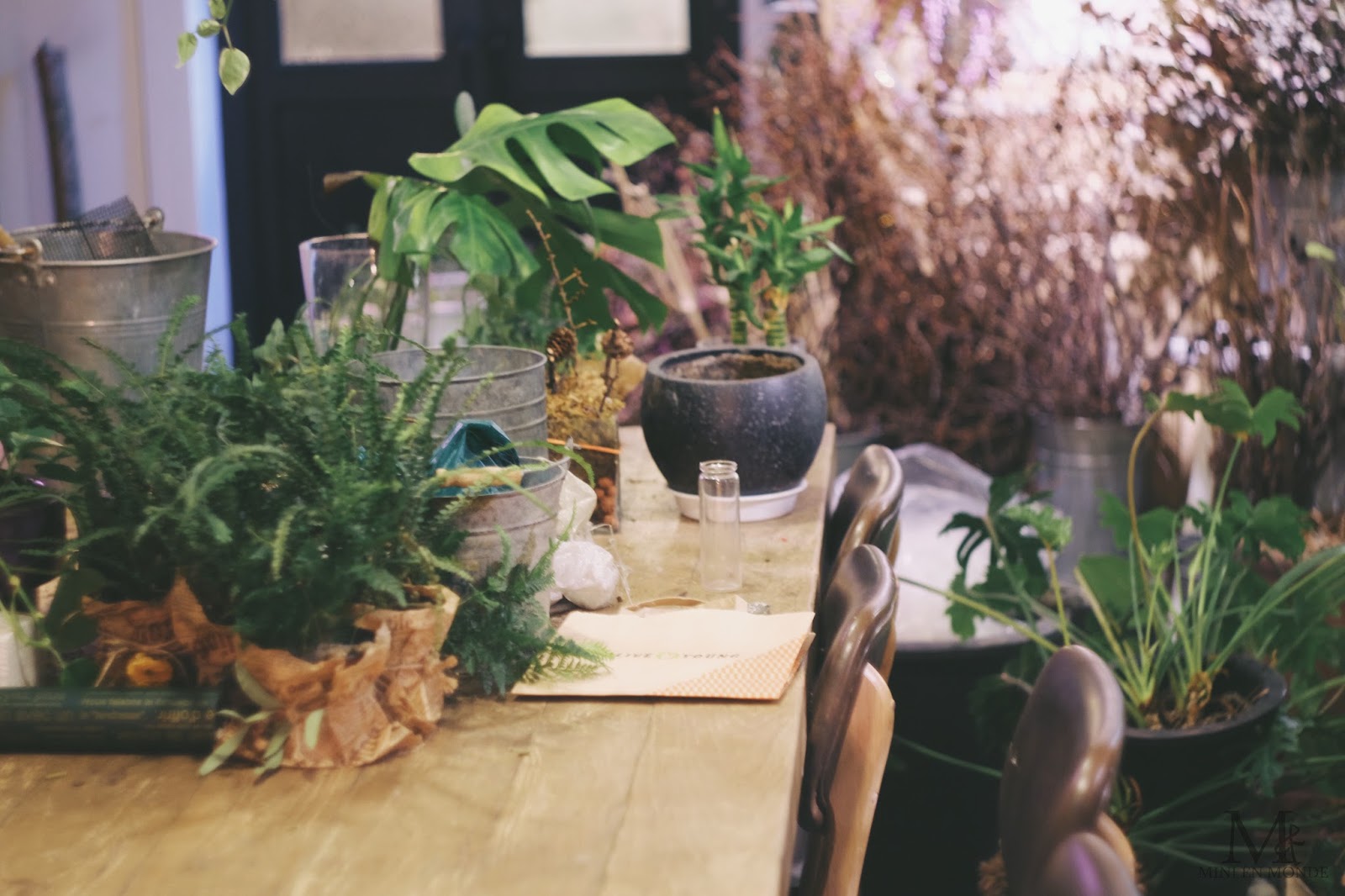 Blüte - Hongdae Gardening Cafe 블뤼테 가드닝 카페 - Mini en Monde