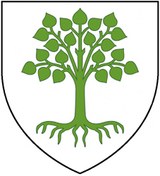 Noblesse et Art de l'écu: Blasonnement : la dimidiation