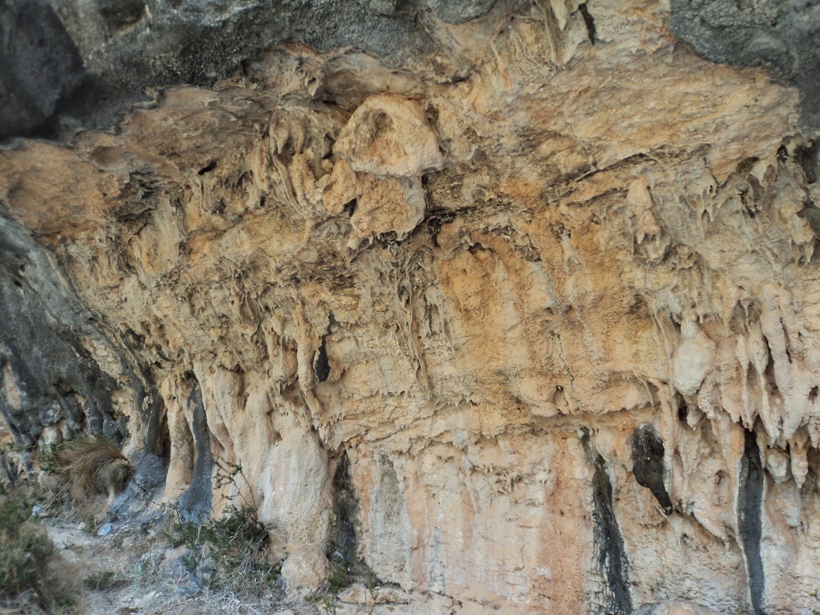 MEDIO NATURAL UN ESPACIO COMPARTIDO: RAMBLA DEL TAMBUC - COVA DE LES ...