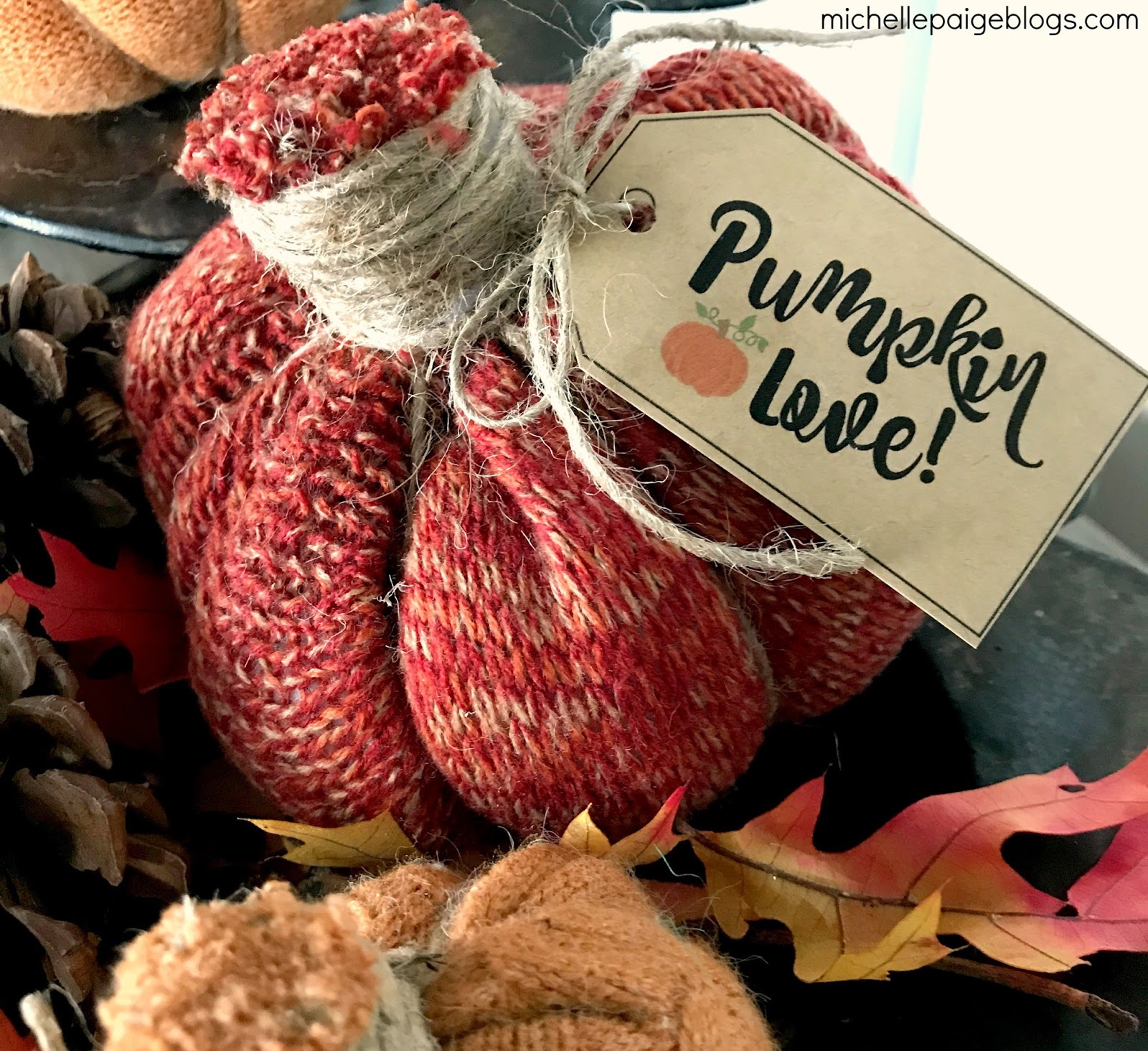 michelle paige blogs: Make Your Own Sweater Pumpkins with No Glue and ...
