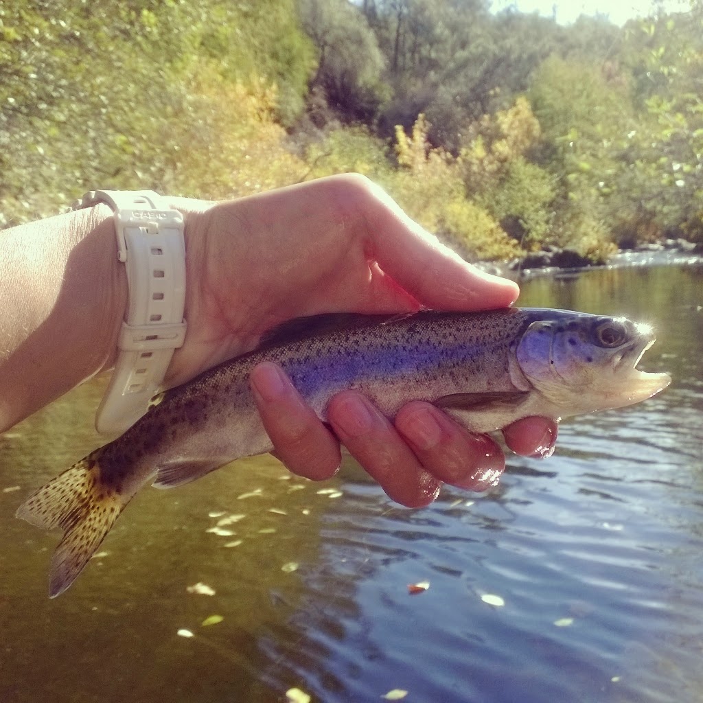 Hiking Into The Big Chico Creek Ecological Reserve – Keep Calm and Fly Fish
