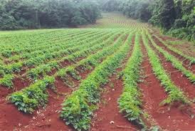 Factors of Production