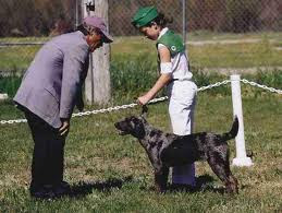 Cochise County 4-H Dog Project: Basics of Showmanship