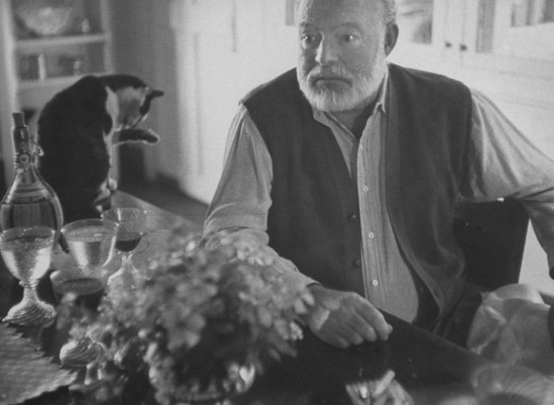 26 Interesting Vintage Photos of Ernest Hemingway With His Beloved Cats ...