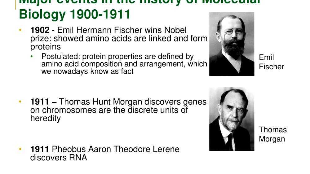 History of molecular biology