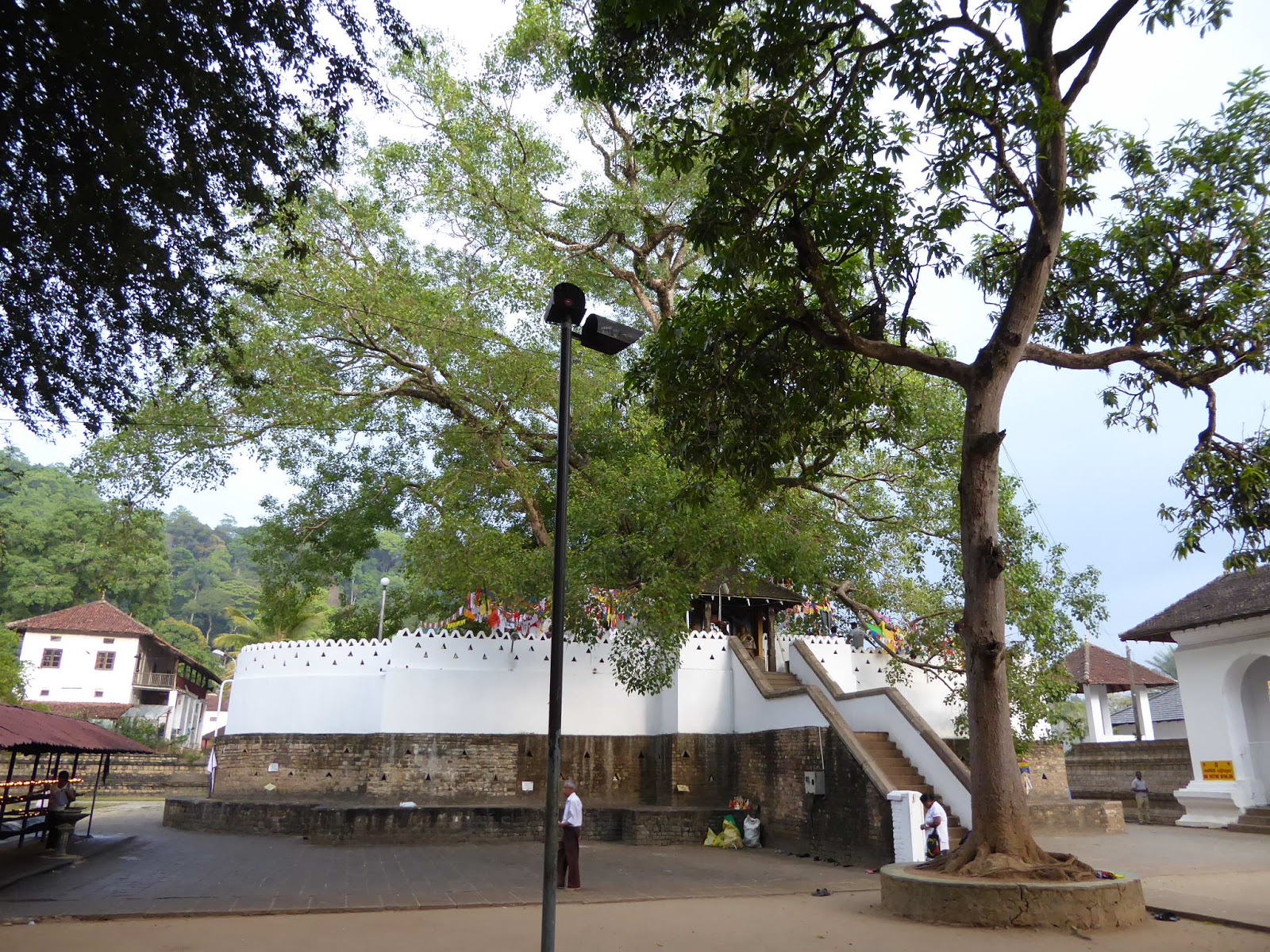 MikesSeite.de: SL06 - Sigiriya & Kandy