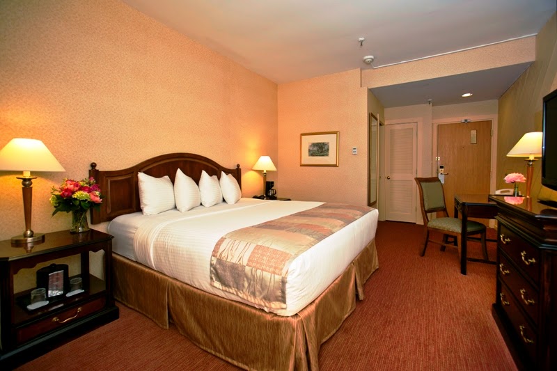 Wedding Planning 101: Things we wish you knew about booking your hotel ...