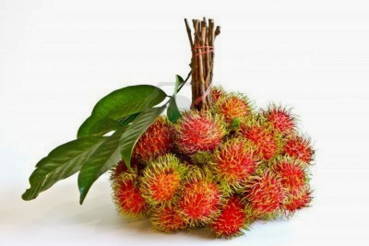 MANFAAT BIJI DAN KULIT RAMBUTAN | Kumpulan Obat Herbal Alam Indonesia