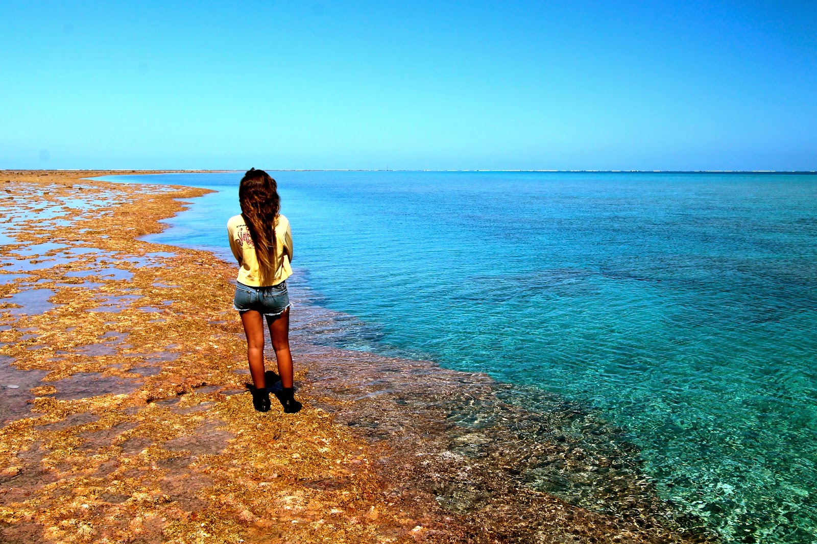 Minerva Reefs - Alchetron, The Free Social Encyclopedia