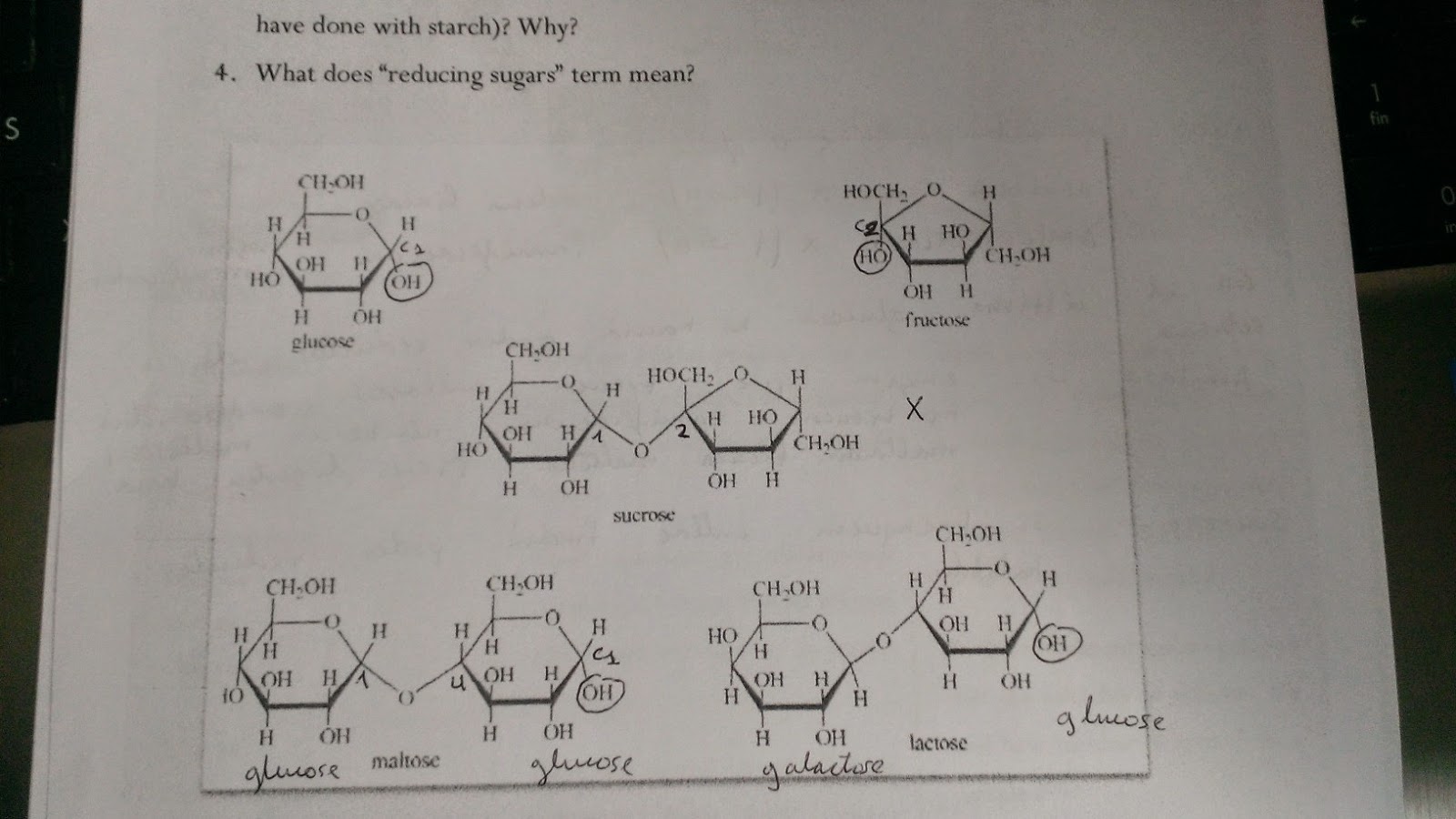 Liza's Science Lab E-notebook: L6. Fehling's Test: Reducing sugars