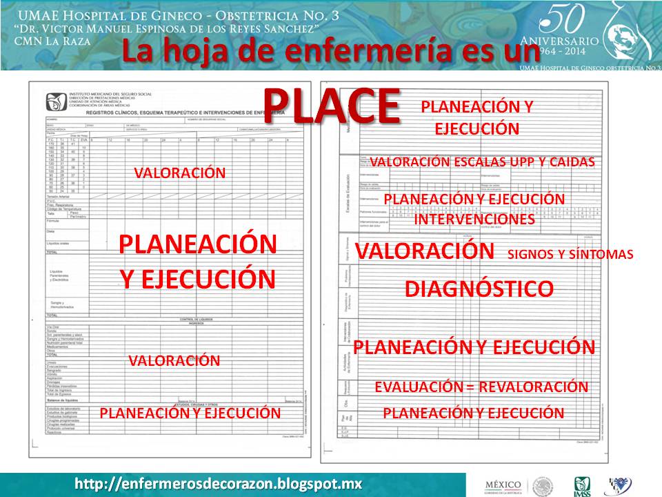 Enfermeros de Corazón: NANDA NOC NIC EN REGISTROS CLINICOS: LA HOJA DE ...