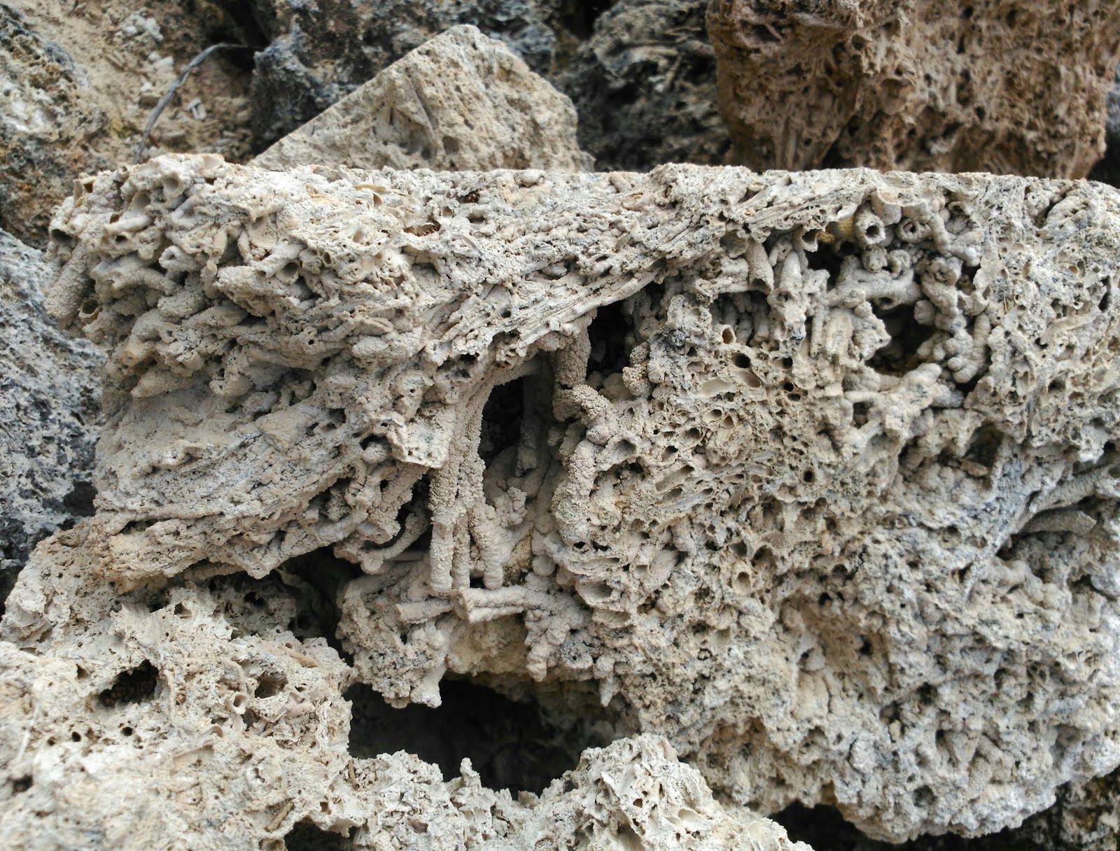 MineralesDB: Toba o Travertino de Ocio, Álava, Euskadi