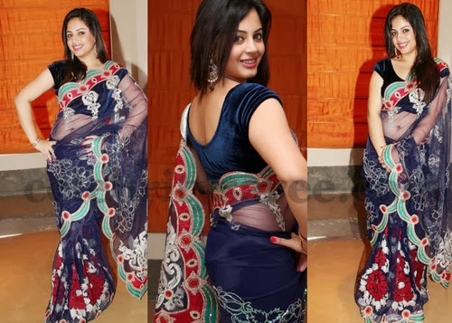 Suhani Transparent Velvet Saree - Saree Blouse Patterns