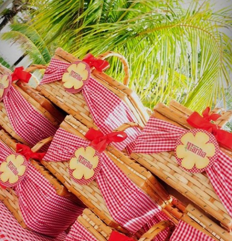 Fiesta temática de pícnic