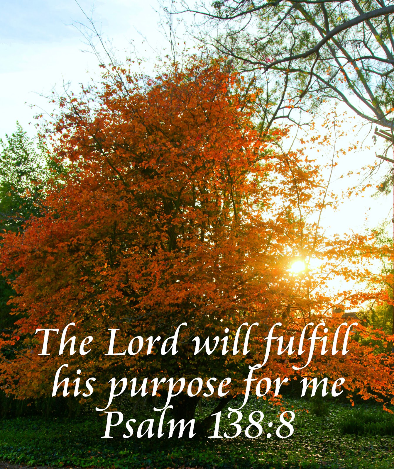 The Lord will fulfill his purpose for me