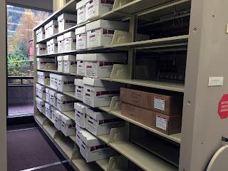 Since You Asked: Incorporating a museum reference collection