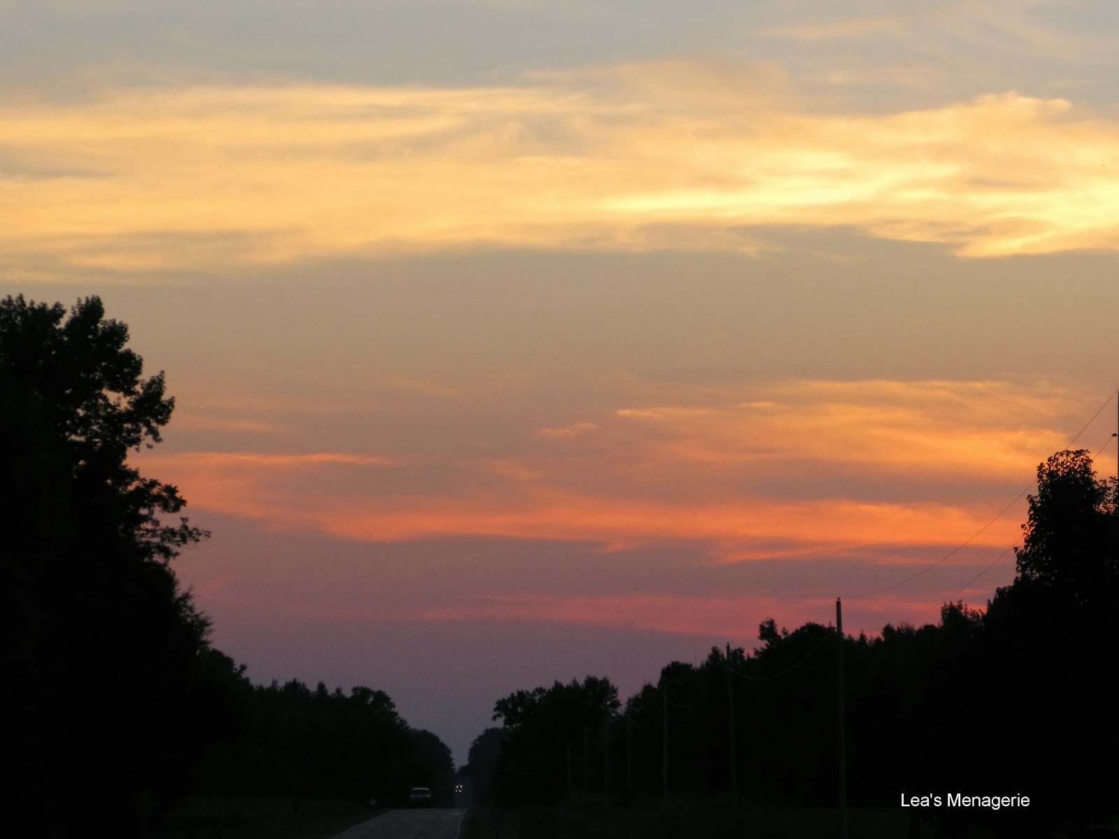 Lea's Menagerie: Morning, Noon, and Night September 6, 2013