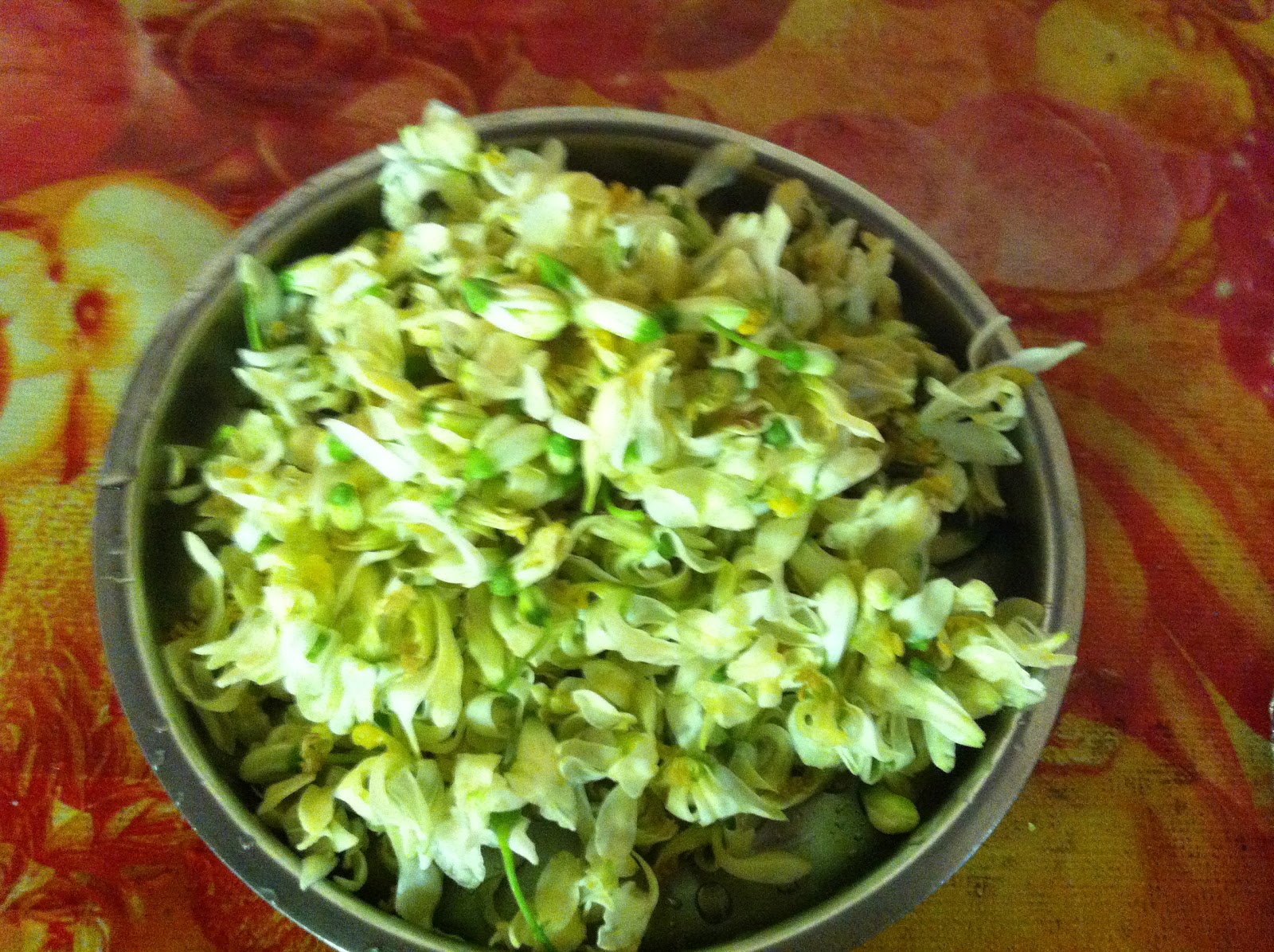 Paakam: MURINGA POOVU THORAN