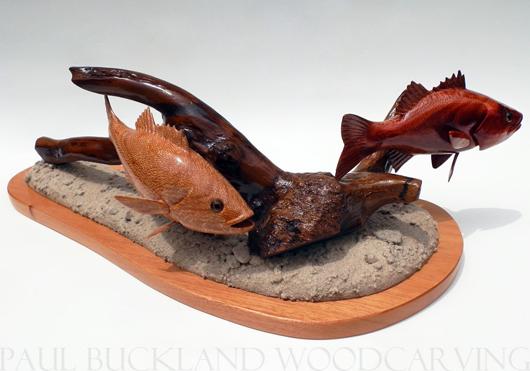 Paul Buckland Woodcarving: Australian Bass 1