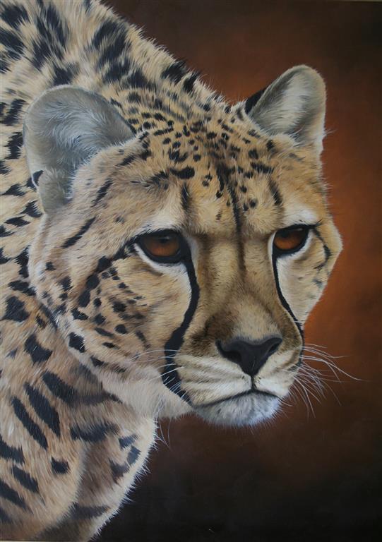 Clive Meredith Wildlife Art: Cheetah painting update