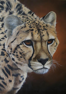 Clive Meredith Wildlife Art: Cheetah painting update
