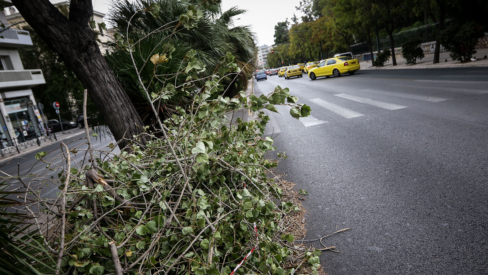 η πάλη των τάξεων: Πάνω από 500 οι κλήσεις στην Πυροσβεστική - Έκτακτο ...