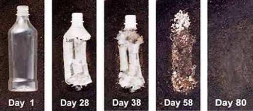 Ideas Verdes: Ecologia% : Botellas biodegradables - CULTIVANDO ORGANICO ...