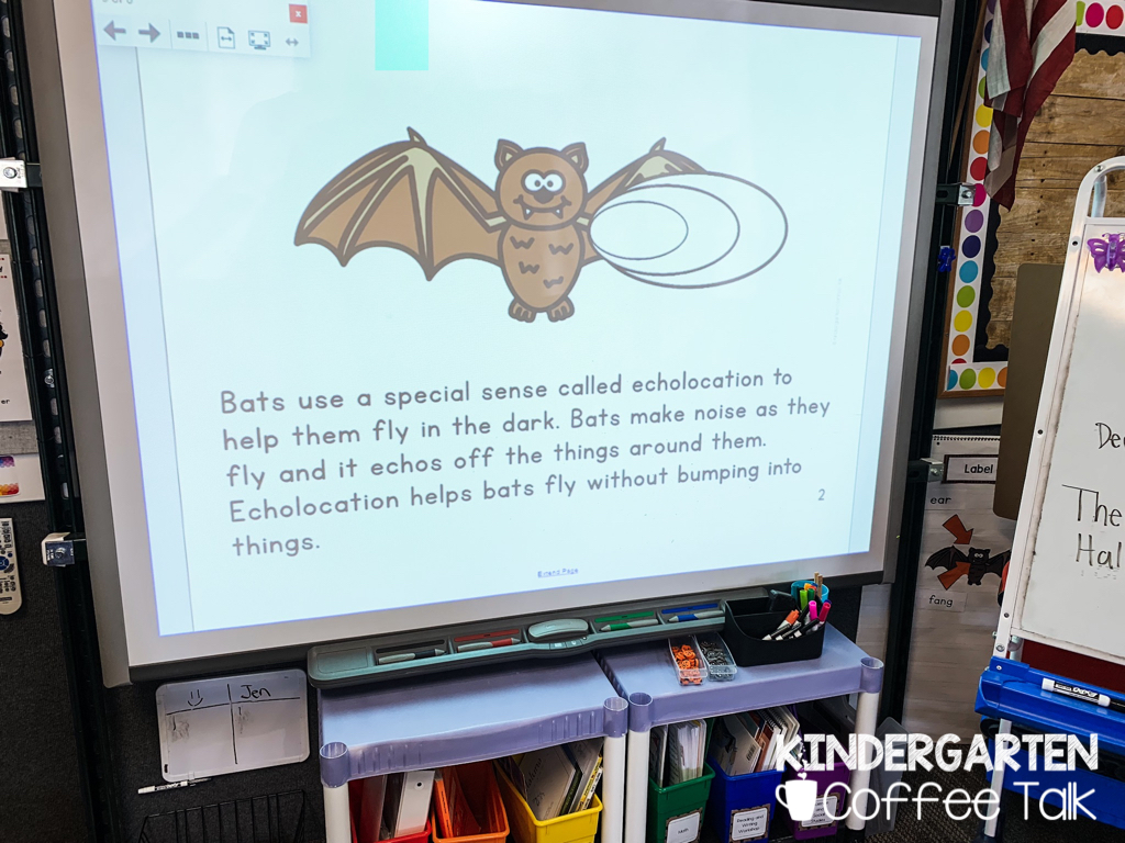Kindergarten Coffee Talk: Nocturnal Animals Research Project