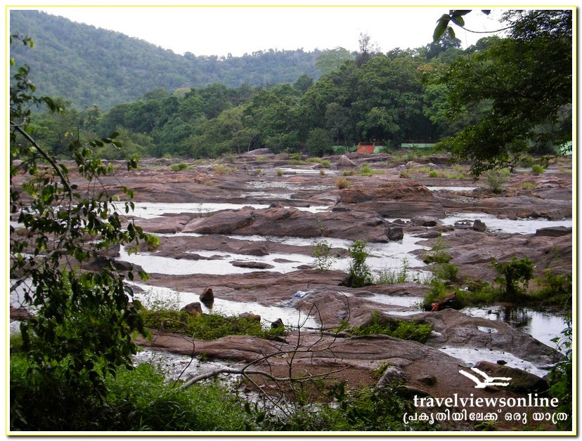 പ്രകൃതിയിലേക്ക് ഒരു യാത്ര (a travel towards NATURE): EZHATTUMUGHAM ...