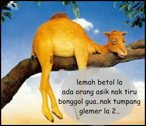 ~Nur Hidayah~: Bonggol Jalan ok lg,Bonggol unta??