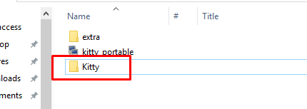 Kitty Transparency Feature
