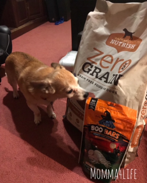 Chewy Ambassador October Review Blue Buffalo Boo Bars Review - Momma4Life