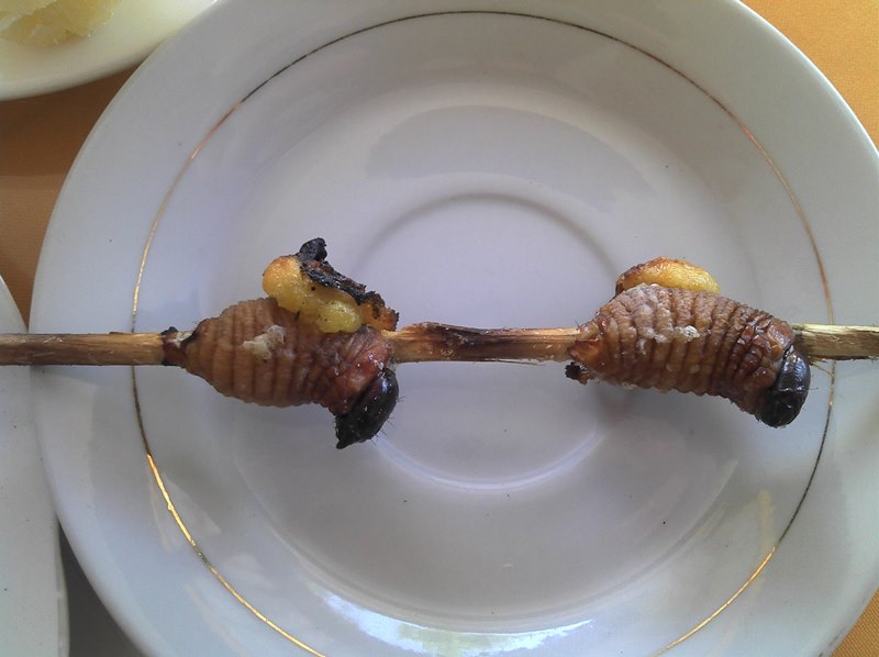 Comida Exotica de Ecuador