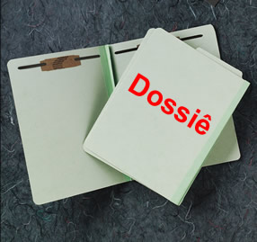 Fluxo: Dossiê (Matéria: Português)