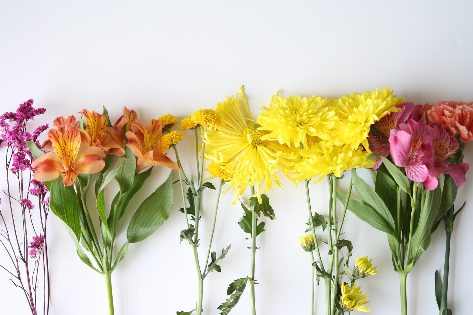 One. Eleven. Studio: fresh flowers