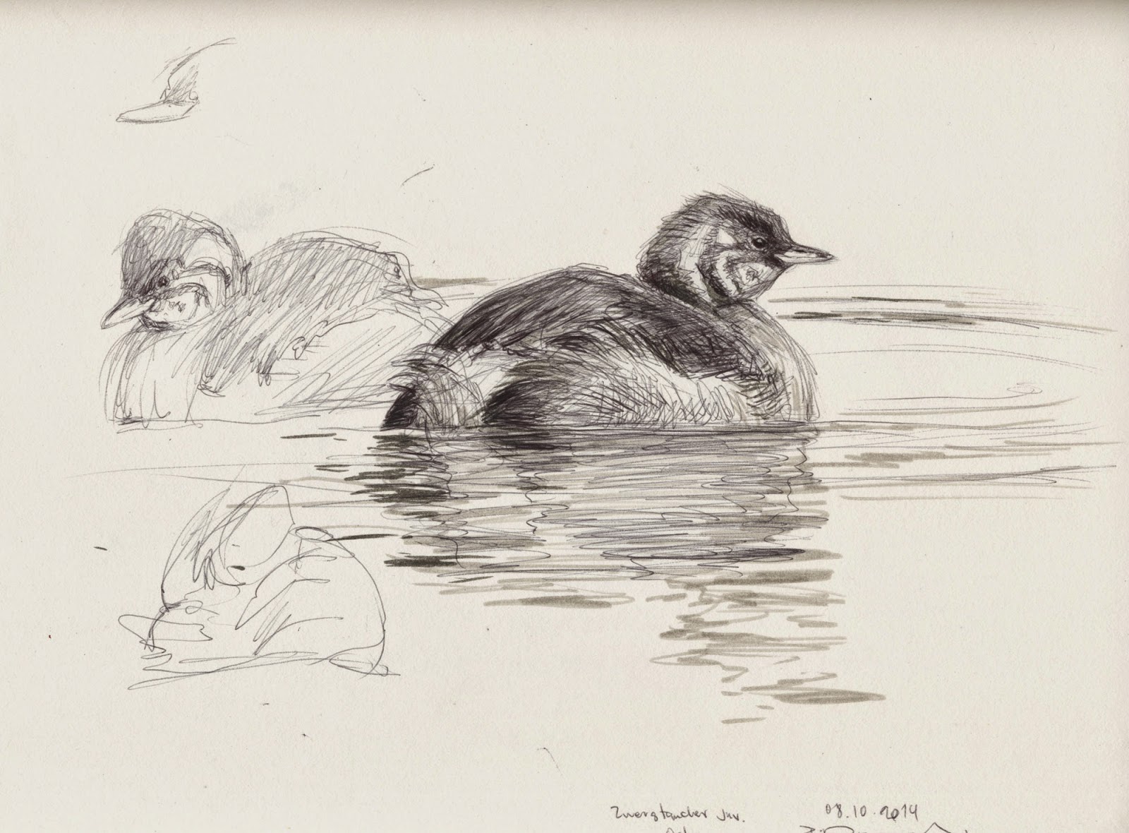 OSTPARK MUNICH - MORE SPEEDY FIELDSKETCHES