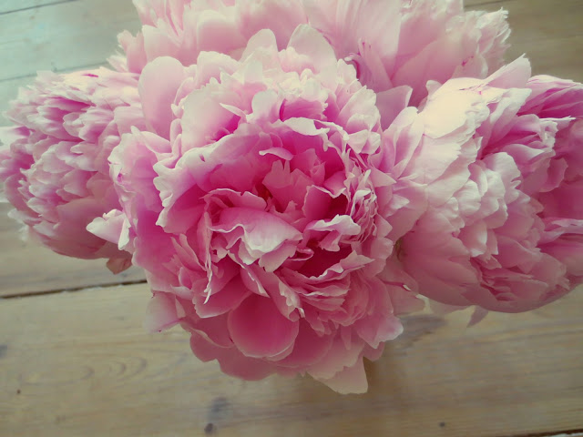 med kærlig hilsen: This Week's Flowers