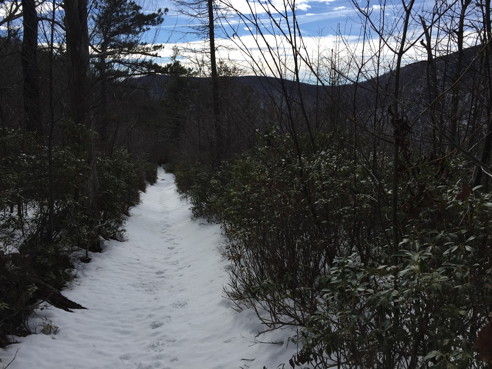 Wandering Virginia: Corbin Cabin Hike - January 2016