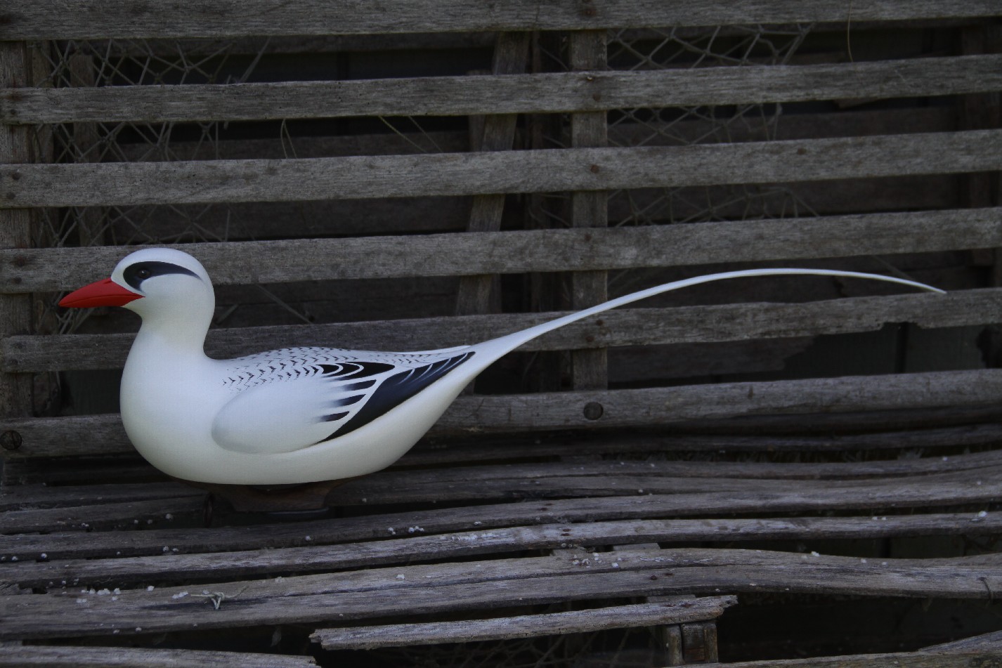 Keith Mueller Bird Carvings: Sea Bird Decoys 1 (Test)
