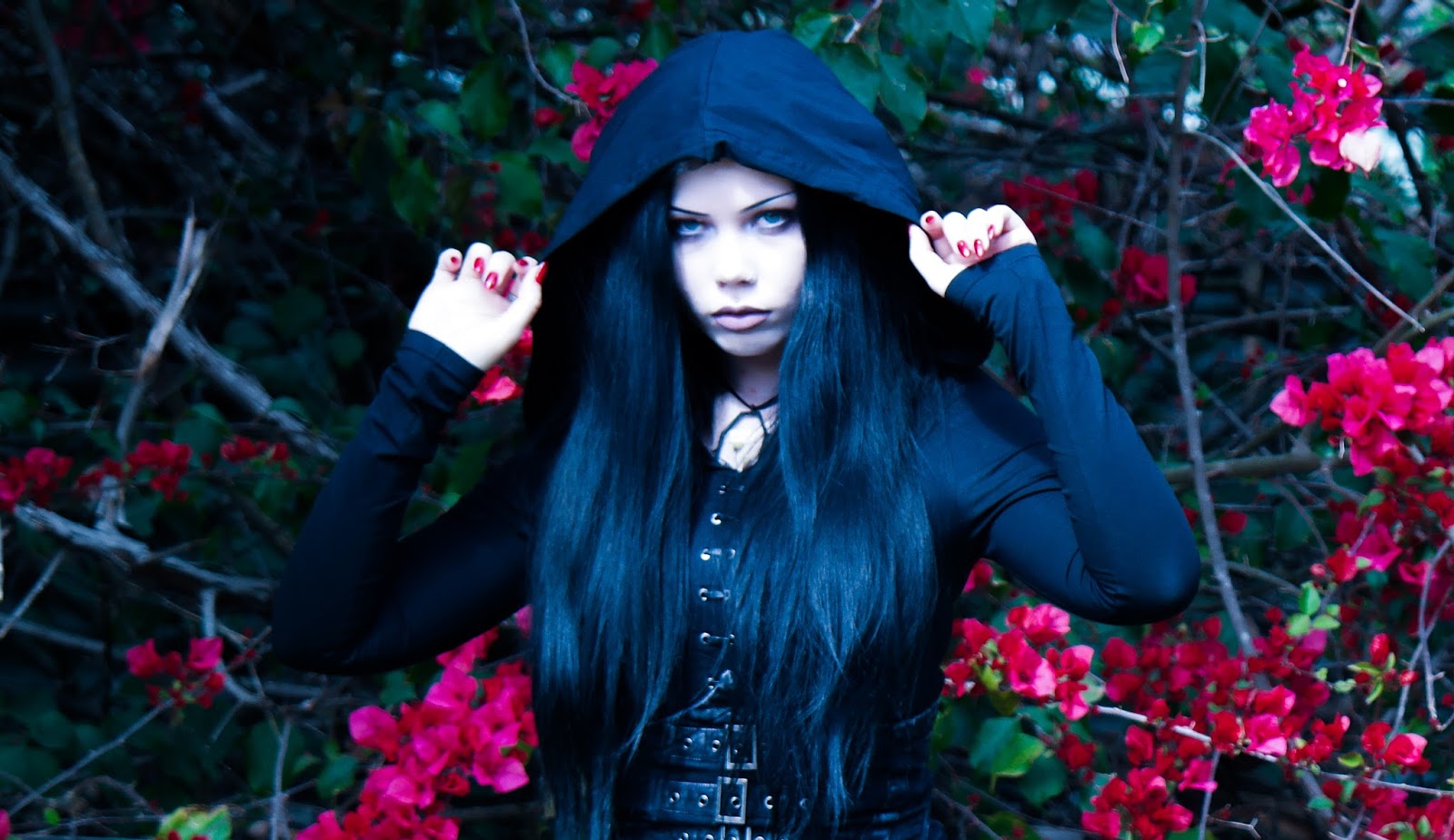 OFFICIAL DEVILNIGHT BLOG