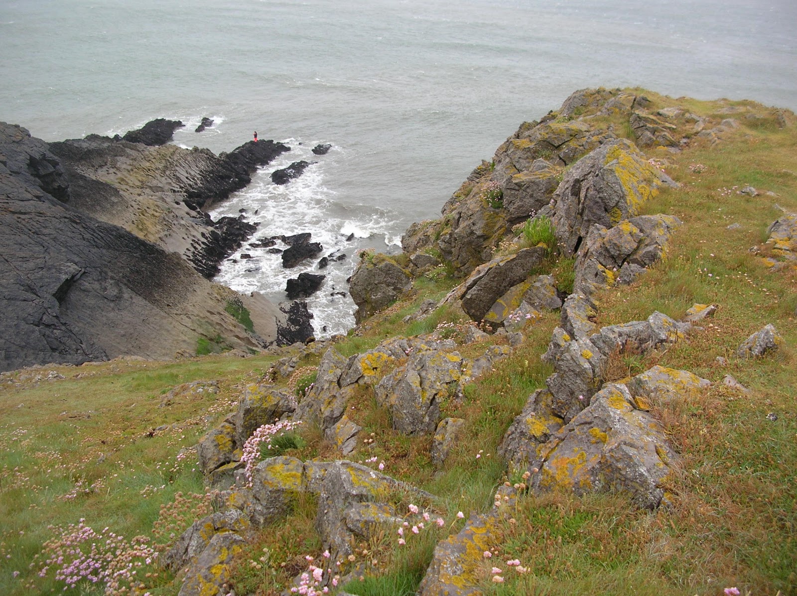 A lifetime of Islands: Island 166 - Burry Holms, Gower, Wales