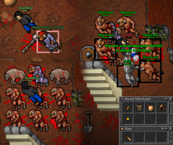 masteress MMO e RPGs: TIBIA online Rookgaard - Apprentice Sheng