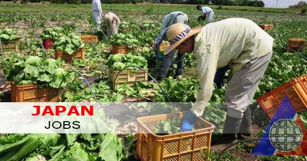 POEA Job: Farm Cultivator In Japan | Specof.com