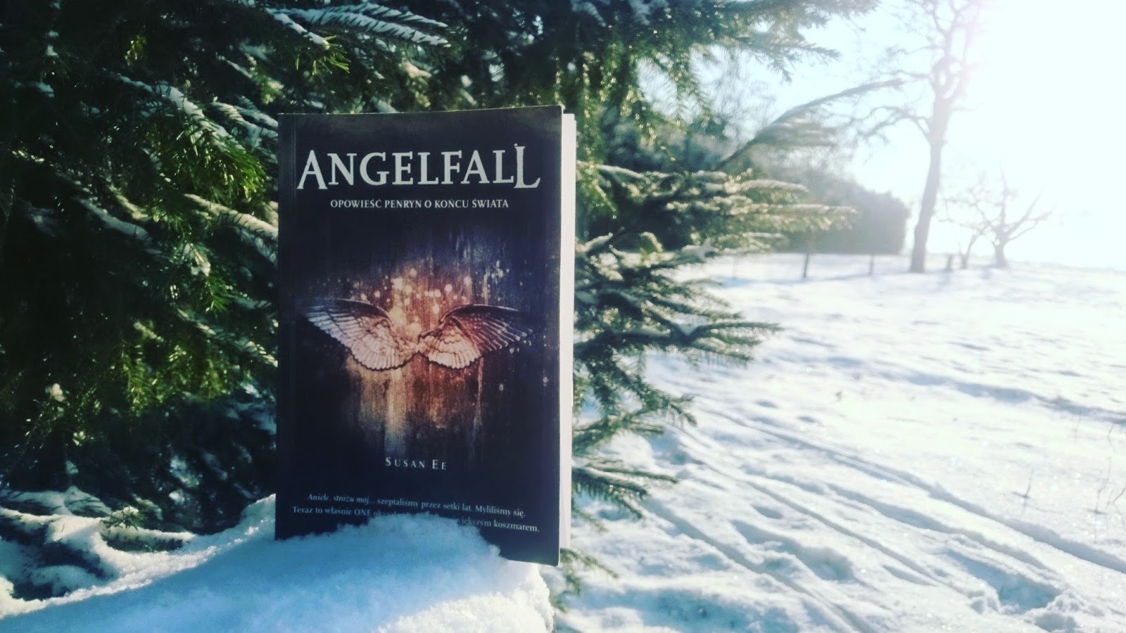 Pabottyro: Angelfall - Susan Ee